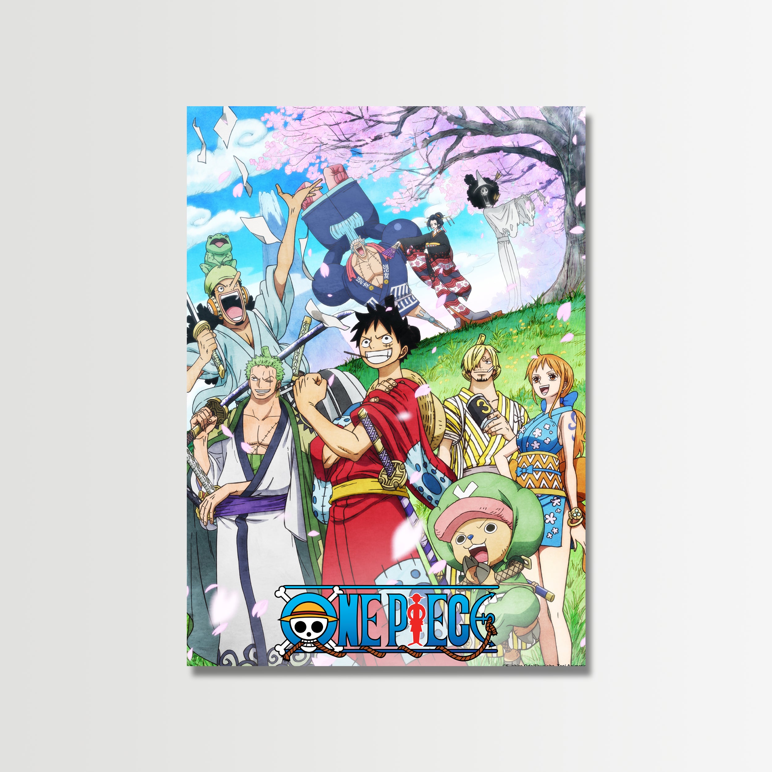One Piece Metal Posters Collection - Set Sail for Adventure – WORTHWRAP ...